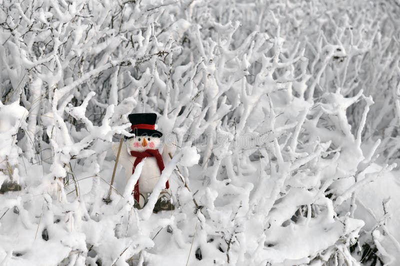 Snowman Skiing in Winter Landscape Stock Image - Image of idylic ...