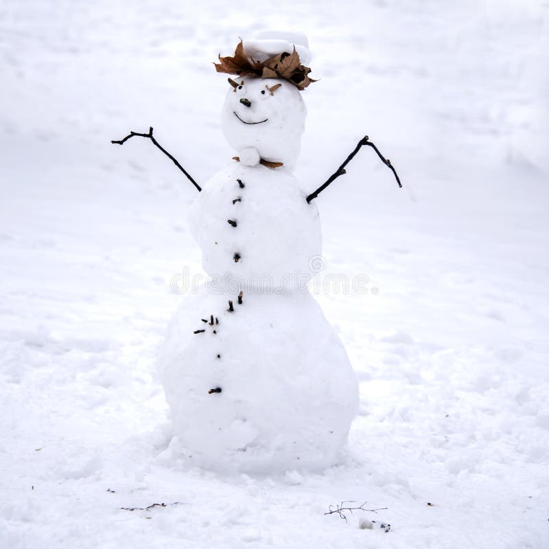 105 Snoman Stock Photos - Free & Royalty-Free Stock Photos from Dreamstime