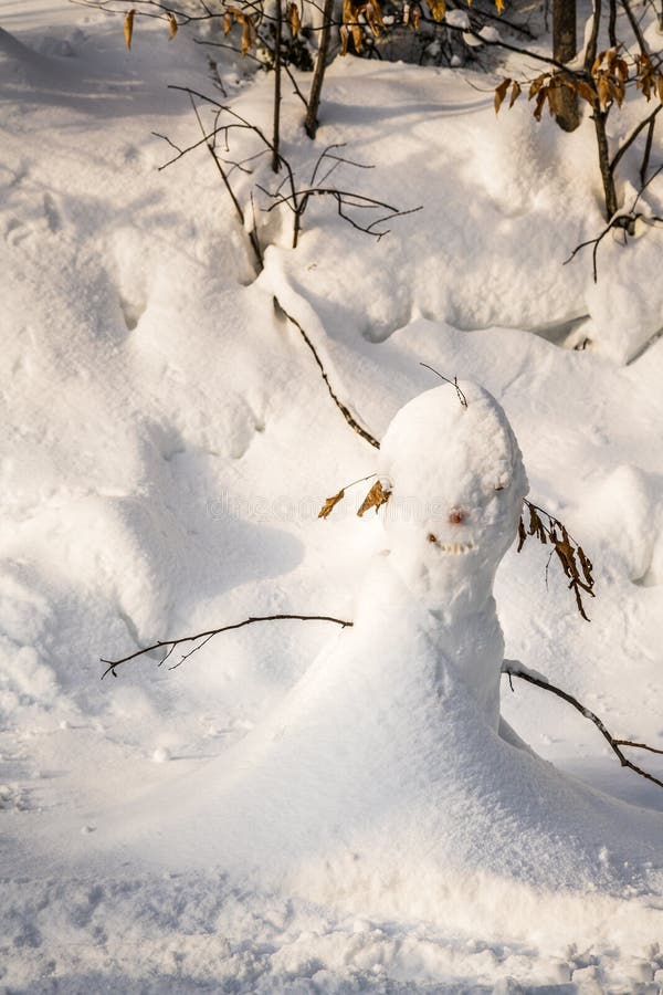 A Snowman after a Snow Fall, Storm. Winter Activity, Copy Space ...