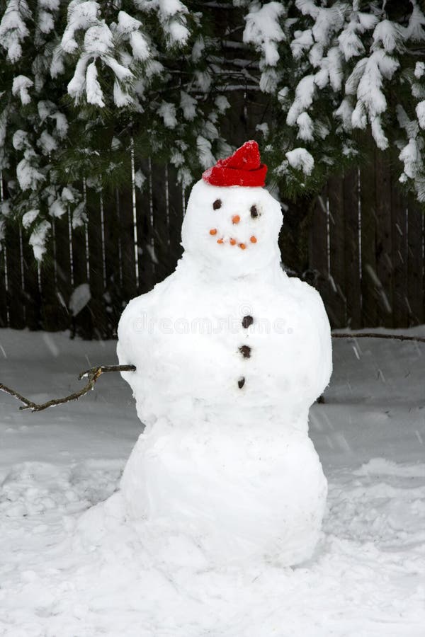 Snowman during Snow Storm stock photo. Image of merry - 7655594
