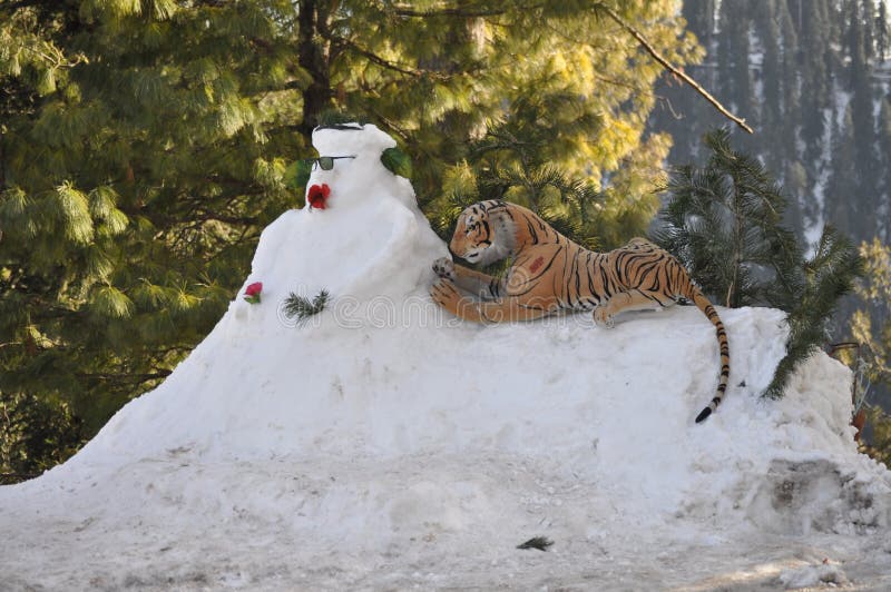 Snowman and a tiger stock photo. Image of winter, animal - 85009440
