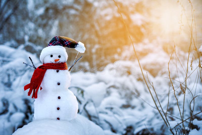 Snowman on the Background of a Winter Landscape. Stock Image - Image of ...