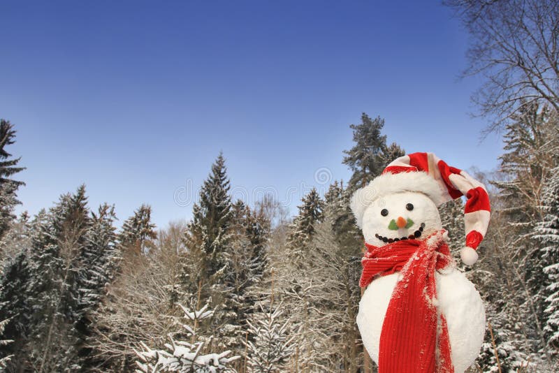 Snowman in Winter in Front of Forest - Christmas Outdoor. Stock Image ...
