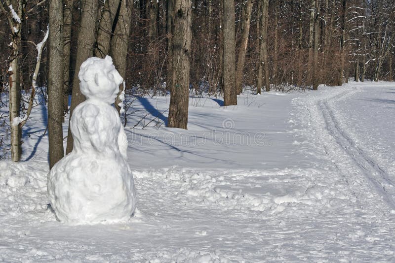 Snowman in the Winter Woods. Stock Photo - Image of frozen, males: 67635386