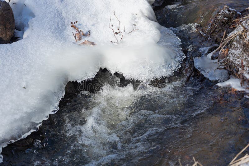 Snowmelt in Early Spring, Spring Flood, Stream Stock Photo - Image of ...