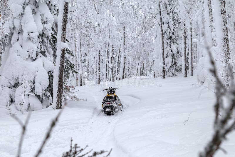 Snowmobile in forest stock image. Image of forests, development - 84345101