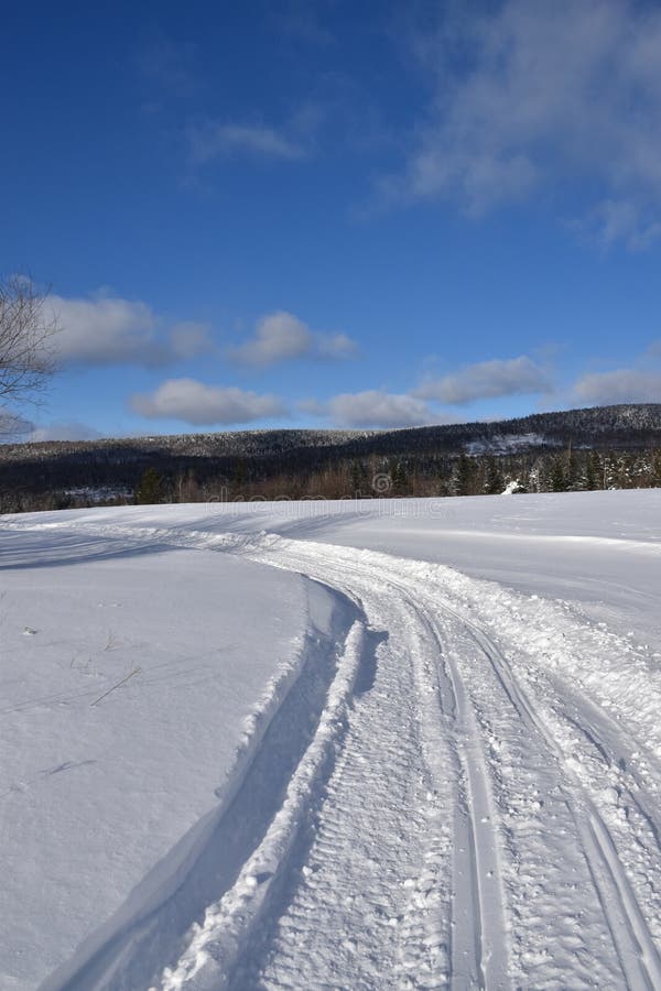 A Snowmobile Track in a Field Stock Photo - Image of vehicle, tree ...