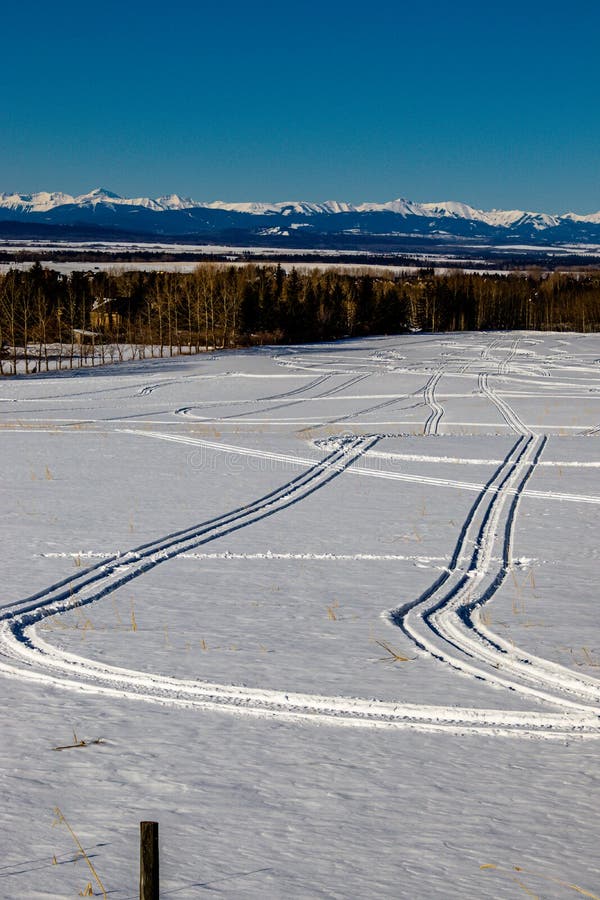Snowmobile Tracks in the Snow. Springbank, Alberta, Canada Stock Image ...