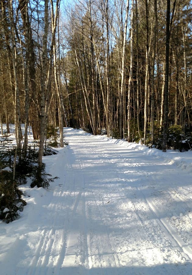 Snowmobile trail stock photo. Image of tracks, weeds, snow - 4105934