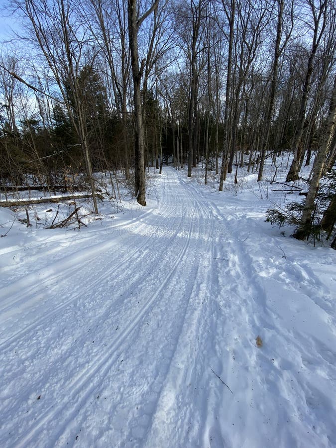 Snowmobile Trail through the Trees Stock Photo - Image of wilderness ...
