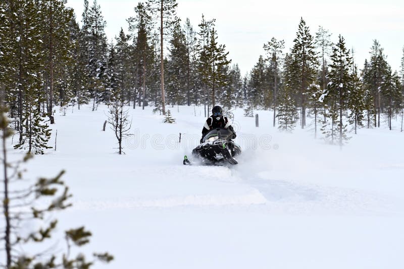 Snowmobiling in Deep Powder in the Forrest Stock Photo - Image of ...