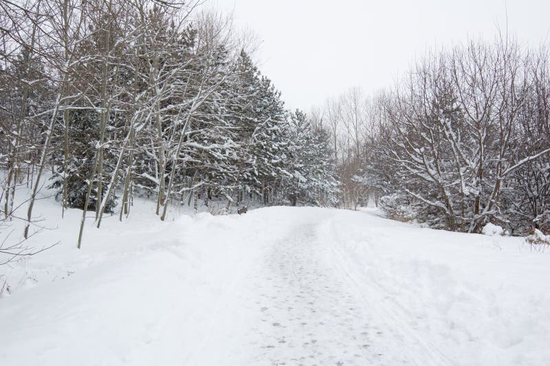 Snowpath stock photo. Image of canada, winter, field - 12017358