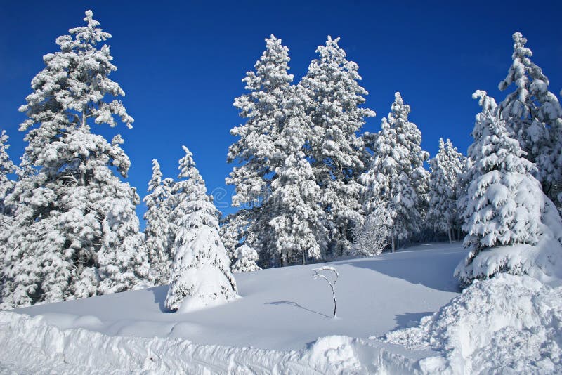 Snowscape stock image. Image of explore, bright, clear - 5911681