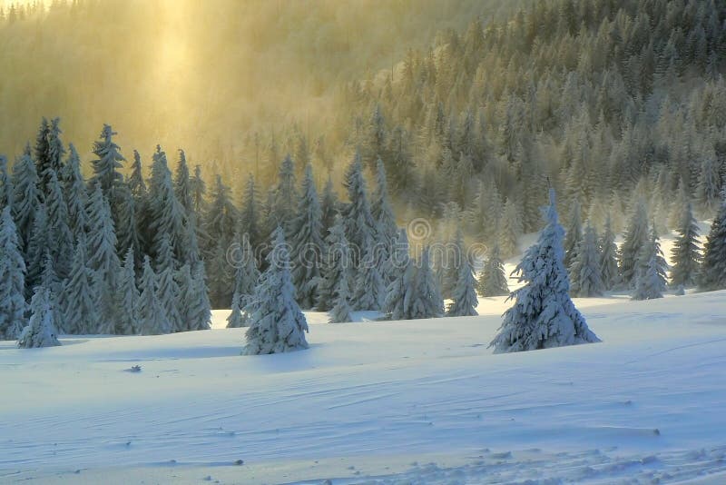 Snowscape stock image. Image of christmas, weather, outdoors - 1895559