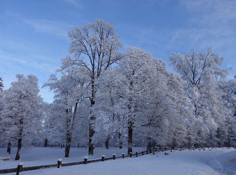 Snowscape stock image. Image of white, snowscape, frosty - 109932141