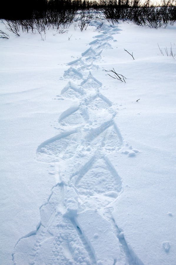 Snowshoe Patterns Stock Photos - Free & Royalty-Free Stock Photos from ...