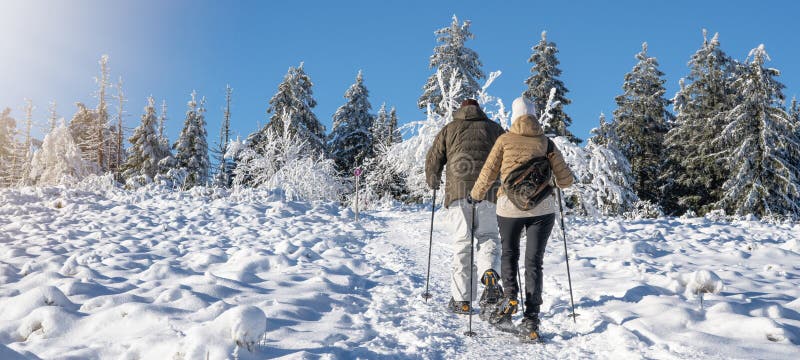 Snowshoe Walkers in Snow Black Forest Landscape Stock Photo - Image of ...