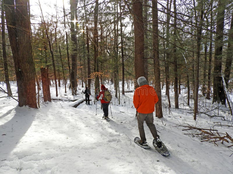 Snowshoeing Hike through Winter Woods Editorial Stock Photo - Image of ...