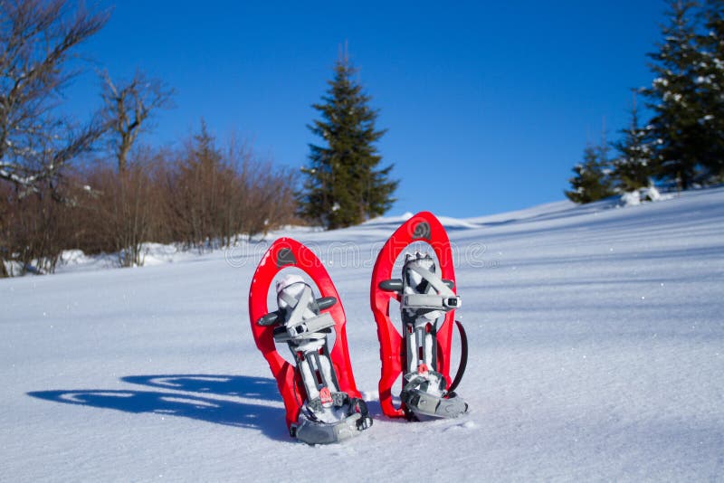 Snowshoeing. Snowshoes in the Snow Stock Photo - Image of male, blue ...