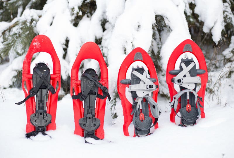 Snowshoeing. Snowshoes in the Snow Stock Photo - Image of lonely ...