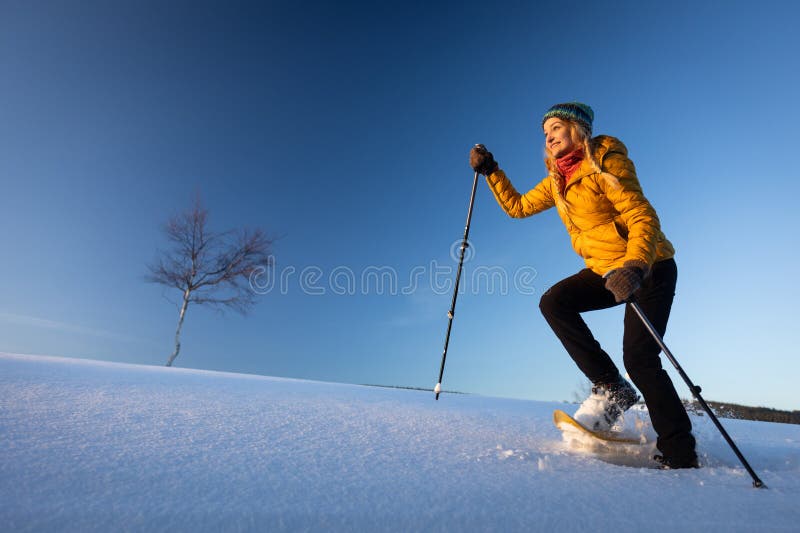 Snowshoeing in Winter in Deep Snow. Walking in the Snow Stock Photo ...