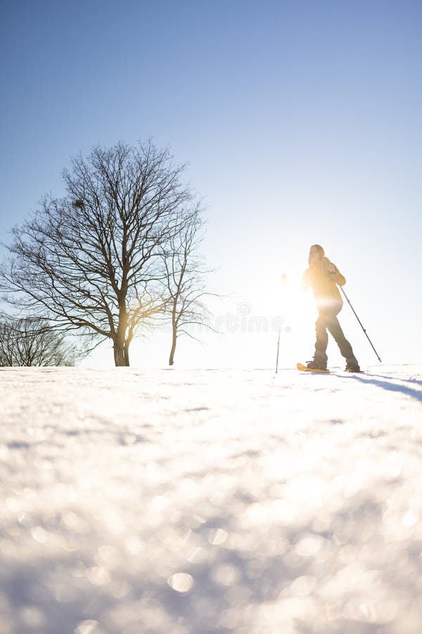 Snowshoeing in Winter in Deep Snow Stock Photo - Image of cold ...