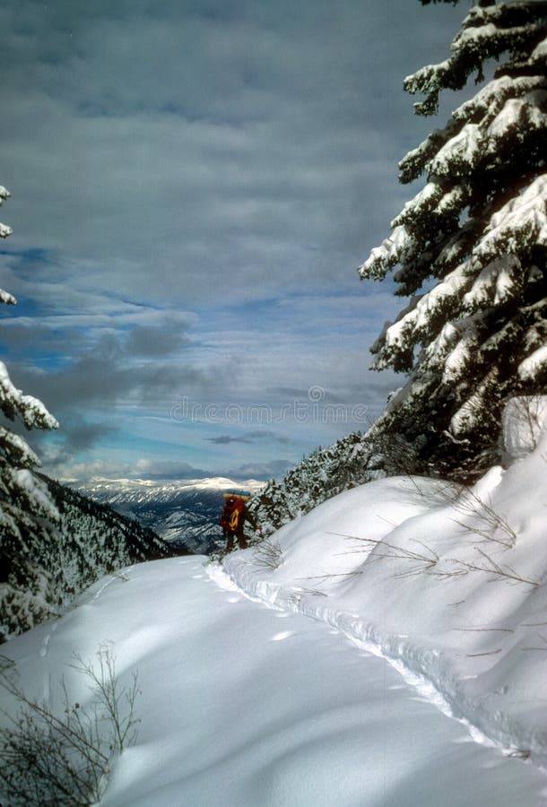 Snowshoer in deep snow stock photo. Image of winter, snowshoe - 17151510