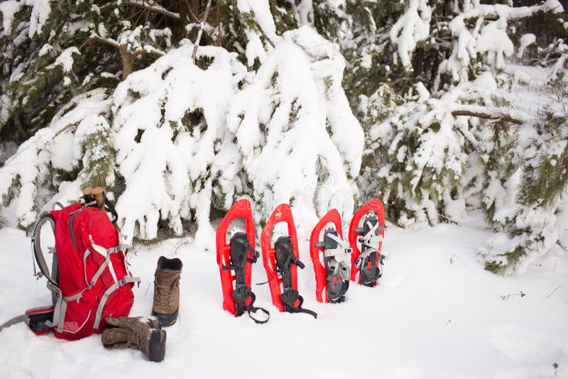 Snowshoes and a Backpack Standing Near Fir. Stock Photo - Image of ...