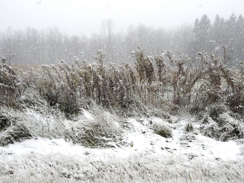 Winter Snowsquall Sudden Arrival Down Cayuga Lake Field Stock Photo ...