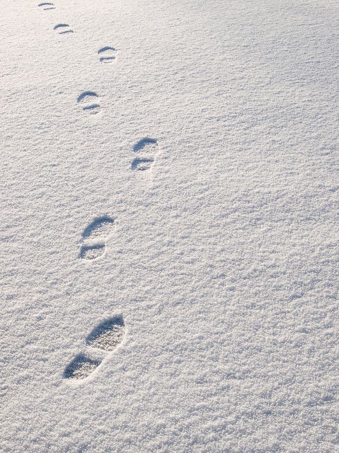 Snowsteps stock image. Image of walk, steps, imprint, winter - 7649707
