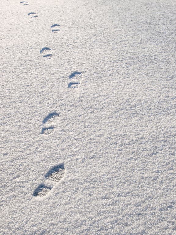 Snowsteps stock image. Image of walk, steps, imprint, winter - 7649707