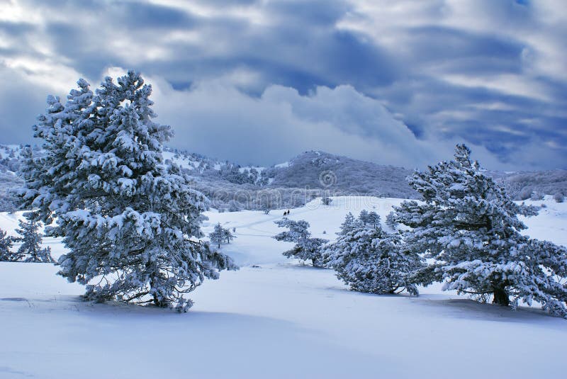 After snowstorm a stock image. Image of scene, clear - 11476677