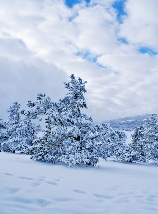 After snowstorm stock photo. Image of beautiful, scenic - 12800178