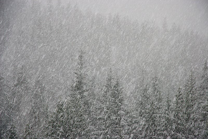 Snowstorm stock image. Image of intense, blizzard, forecast - 1639137