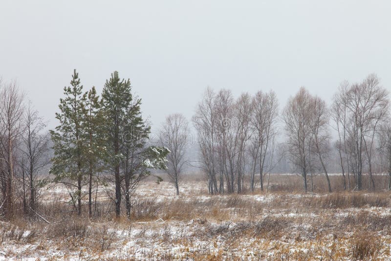 Snowstorm stock photo. Image of snowstorm, field, autumn - 28825610