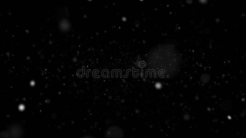 Snow White Particles Overlay. Transparent Background Stock Footage ...