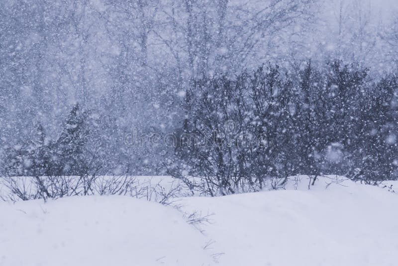 Snowstorm in Countryside in Wintertime Stock Image - Image of tree ...