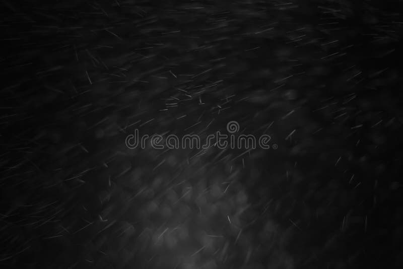 Snowstorm Evening with Pine Tree Lit Up Covered in Snow Stock Photo ...