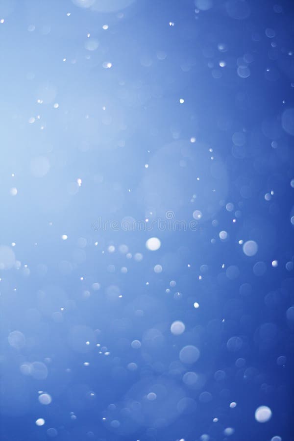 Snowstorm Evening with Pine Tree Lit Up Covered in Snow Stock Photo ...