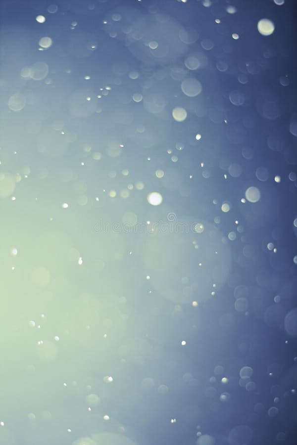 Snowstorm Evening with Pine Tree Lit Up Covered in Snow Stock Photo ...