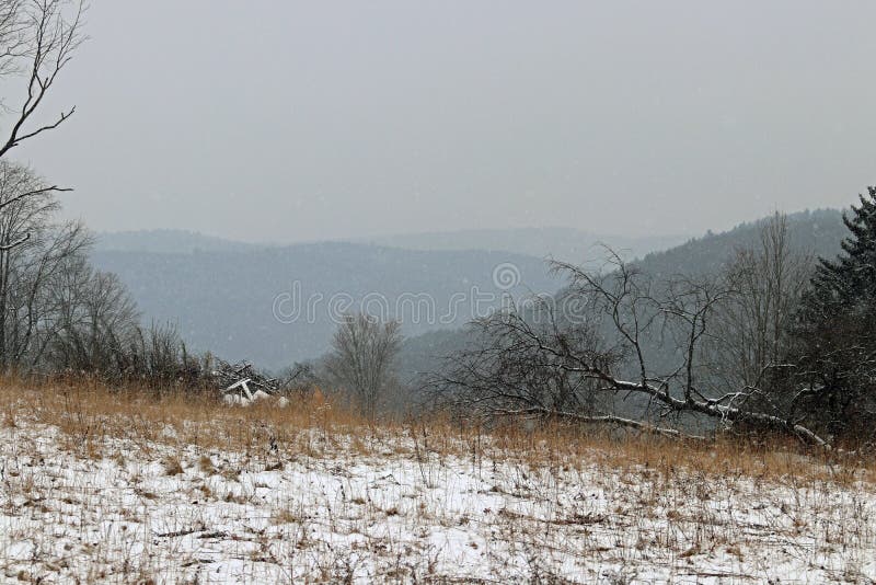 Snowstorm in the hills stock photo. Image of brown, winter - 139078272