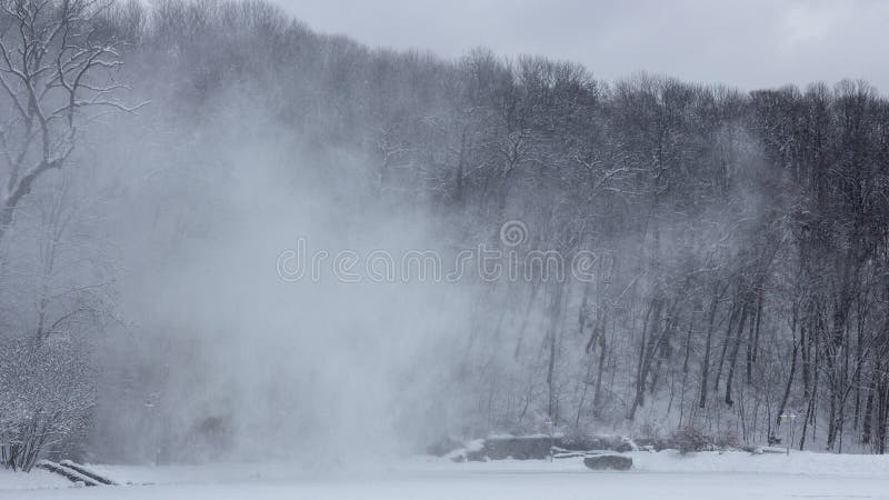 Snowstorm in the Forest, a Strong Wind Drives a Pillar of Snow on the ...