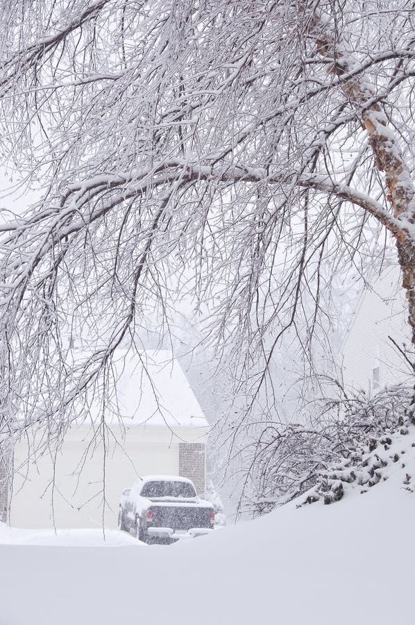 Snowstorm in Kentucky stock photo. Image of snowfall, whiteout - 7946370