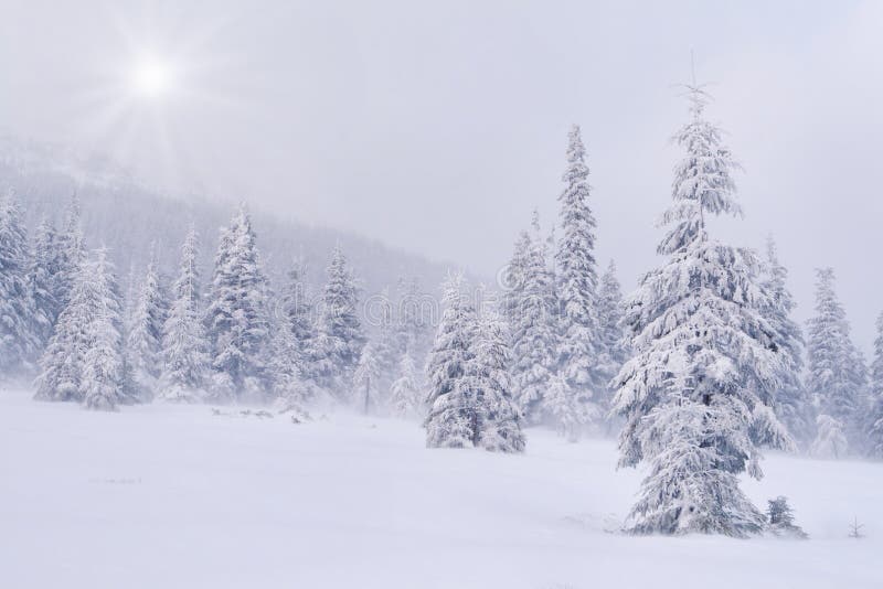 Snowstorm in the mountains stock image. Image of snow - 20346693
