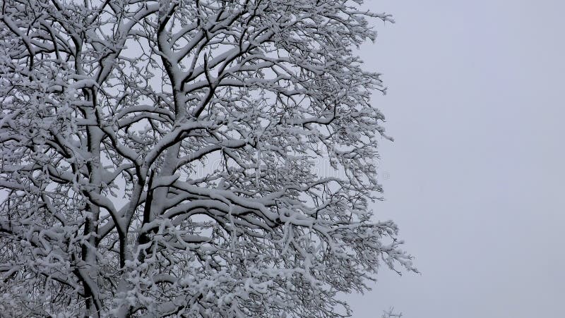 After the snowstorm stock image. Image of countless - 143361261