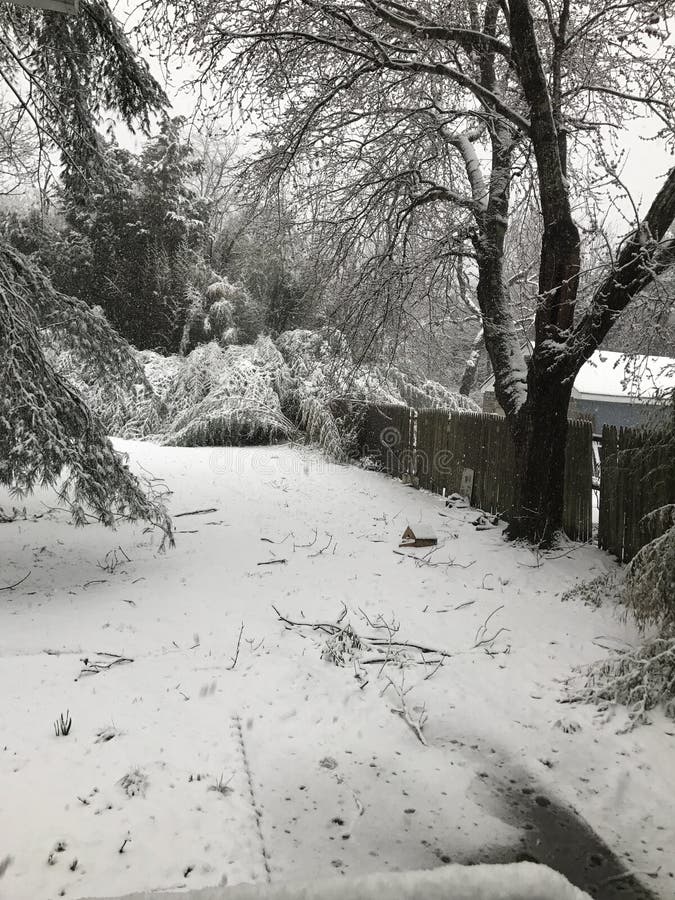 Snowstorm of the Year, White Out Stock Photo - Image of blizzard ...
