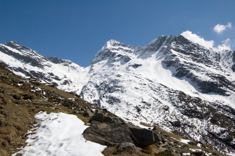 Snowy Alpine Forest stock image. Image of blue, pine, snow - 534167