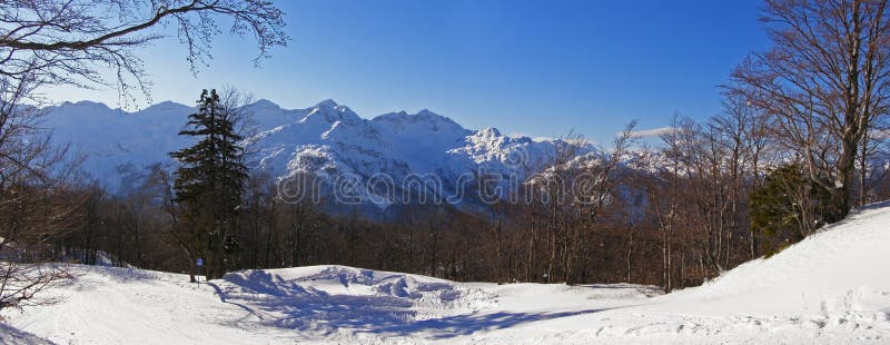 Snowy alpine panorama stock photo. Image of mountains - 14588426