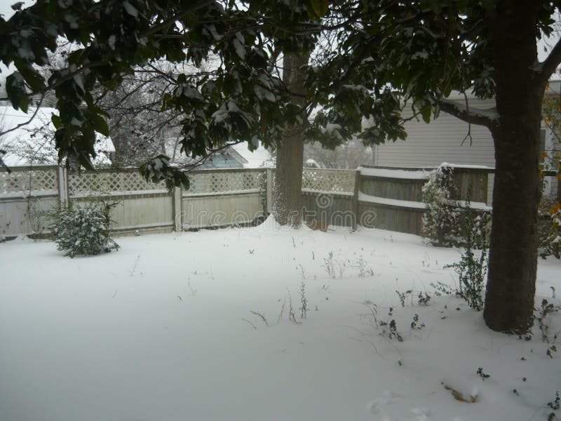 Snowy Backyard stock photo. Image of fence, snowy, foliage - 51346810