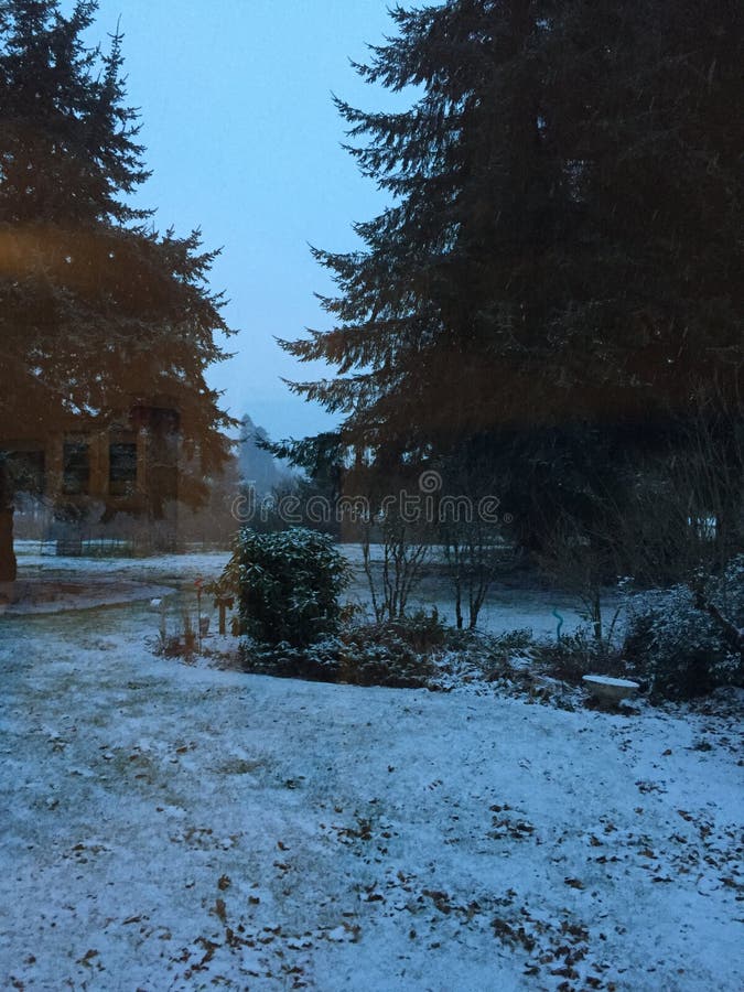 Snowy backyard stock image. Image of yard, snow, grey - 72331465